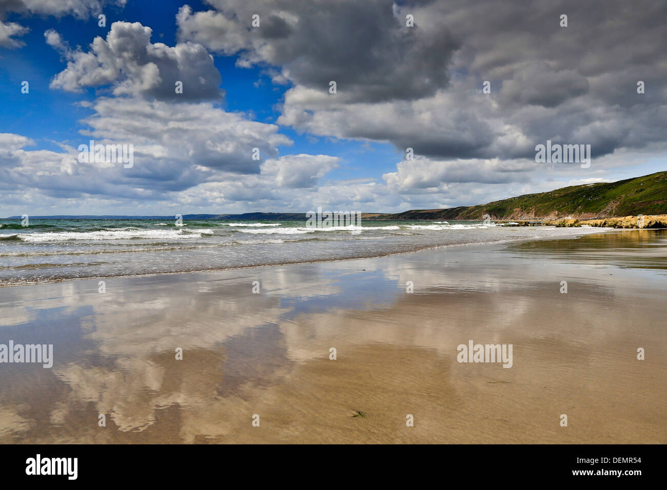 Rame head hi-res stock photography and images - Alamy