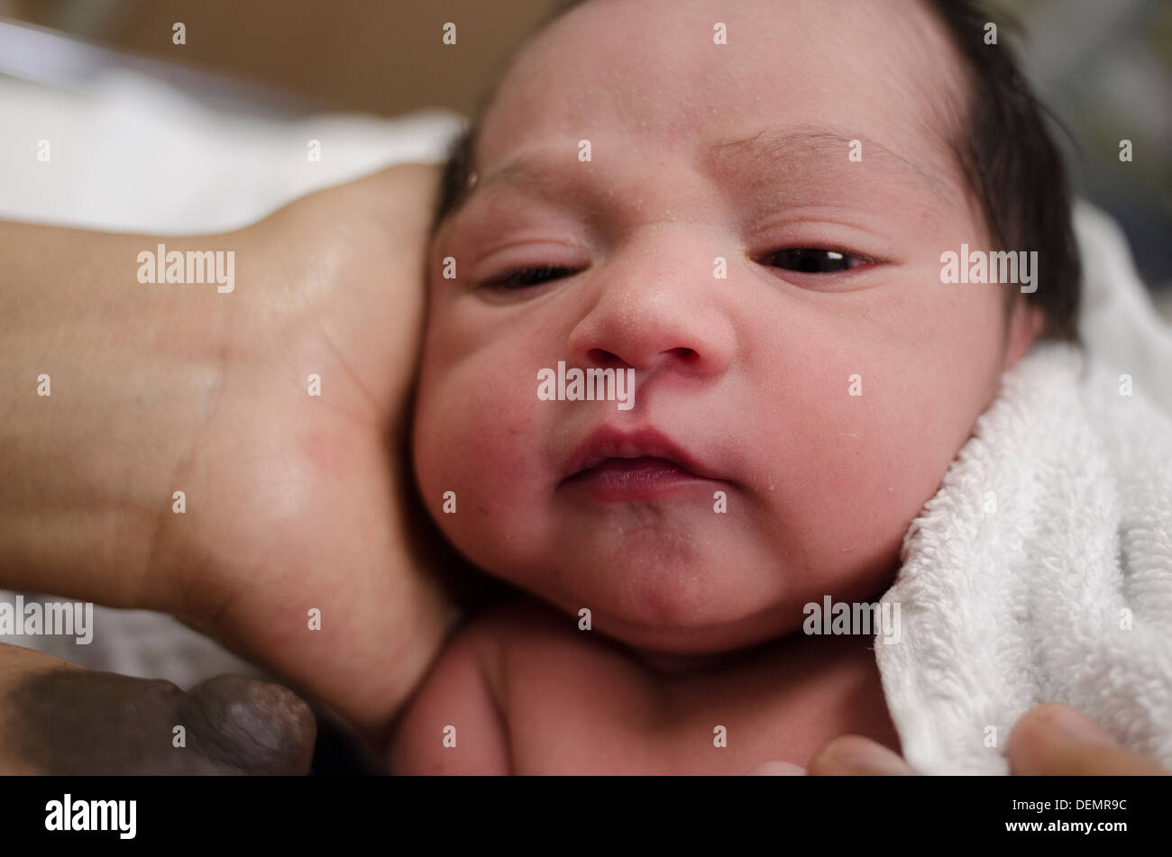 Newborn baby on mother - minutes old Stock Photo - Alamy