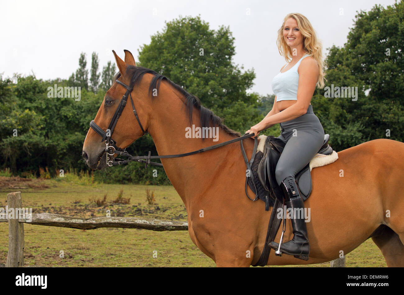 Equestrian photoshoot hi-res stock photography and images - Alamy