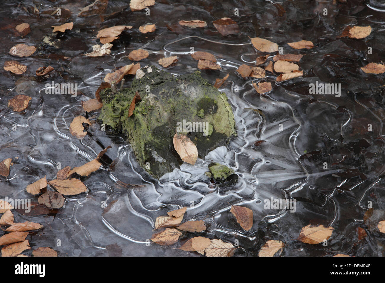 Ice formation in a stream where the water has reseeded leaving these ...