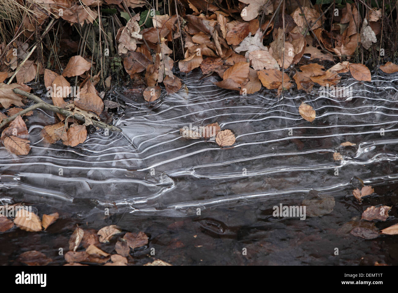 Leaving formation hi-res stock photography and images - Alamy