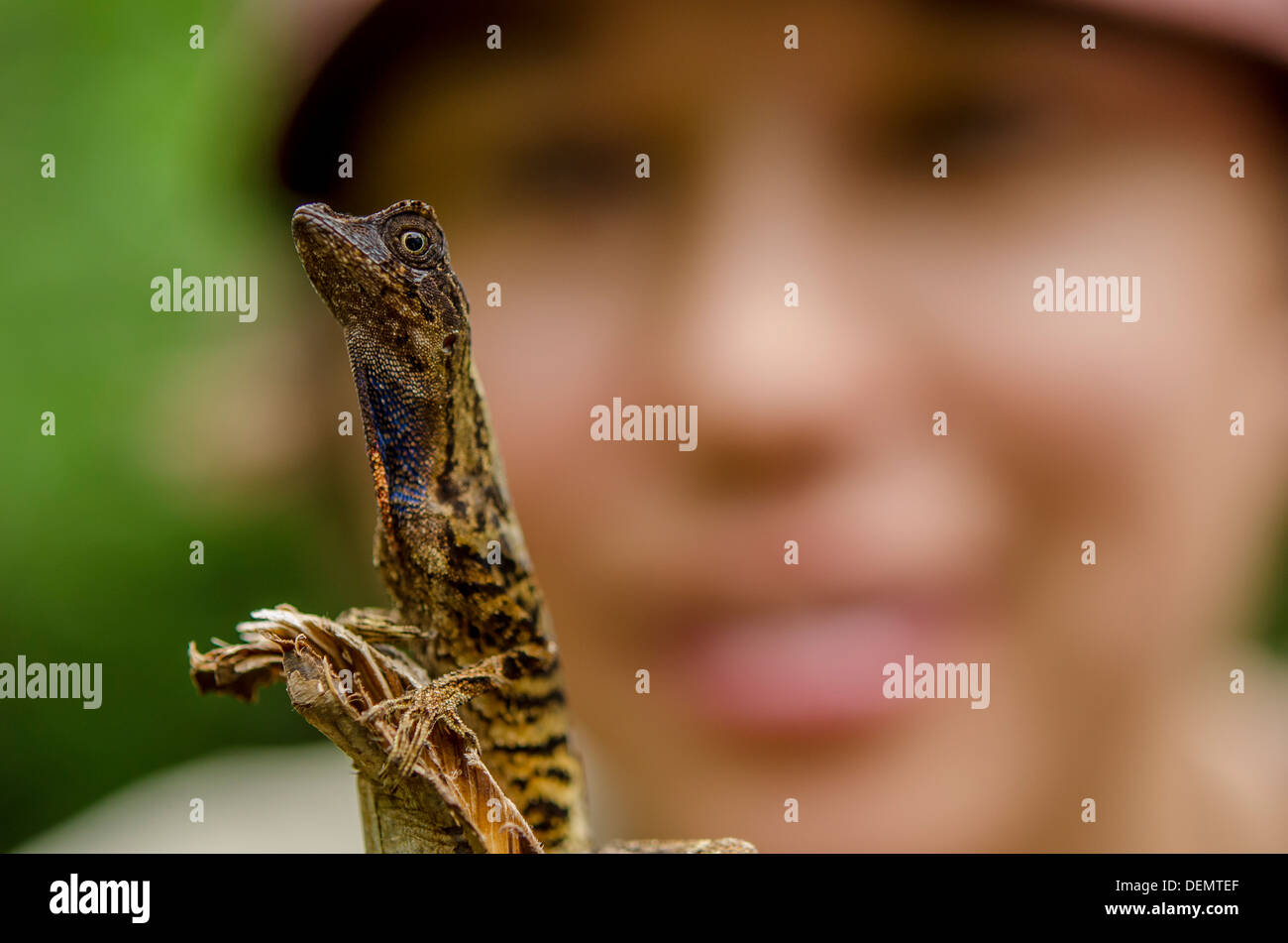 Peru rainforest hi-res stock photography and images - Alamy