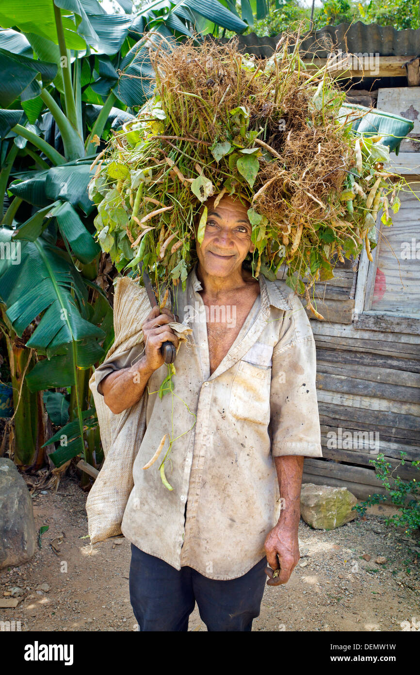 Dominican Republic People Agriculture High Resolution Stock Photography ...