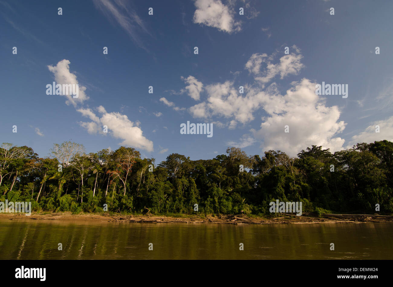 Manu River and rainforest, Manu National Park, Peru Stock Photo - Alamy