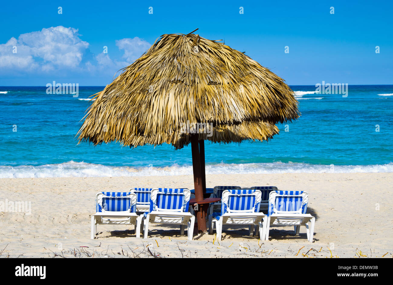 Beach chairs under a palm tree Stock Photo - Alamy