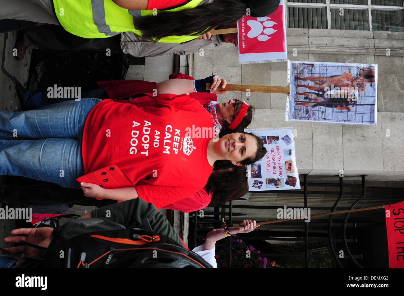 Peter egan animals hi-res stock photography and images - Alamy