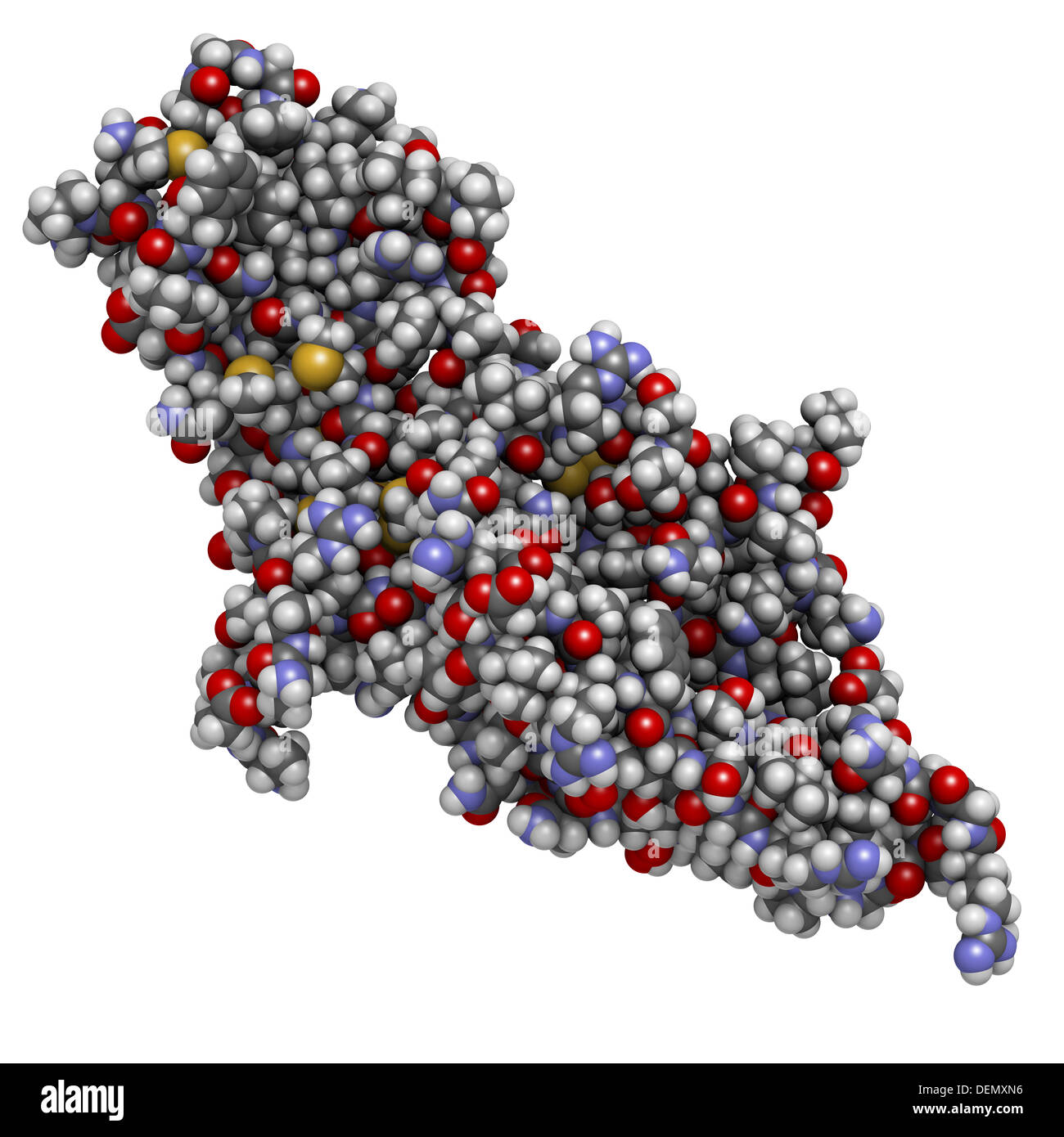 Human Chorionic Gonadotropin (hCG) glycoprotein hormone, chemical ...
