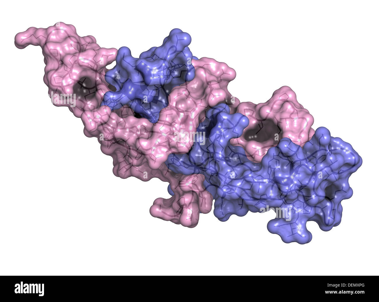 Human Chorionic Gonadotropin (hCG) glycoprotein hormone, chemical ...