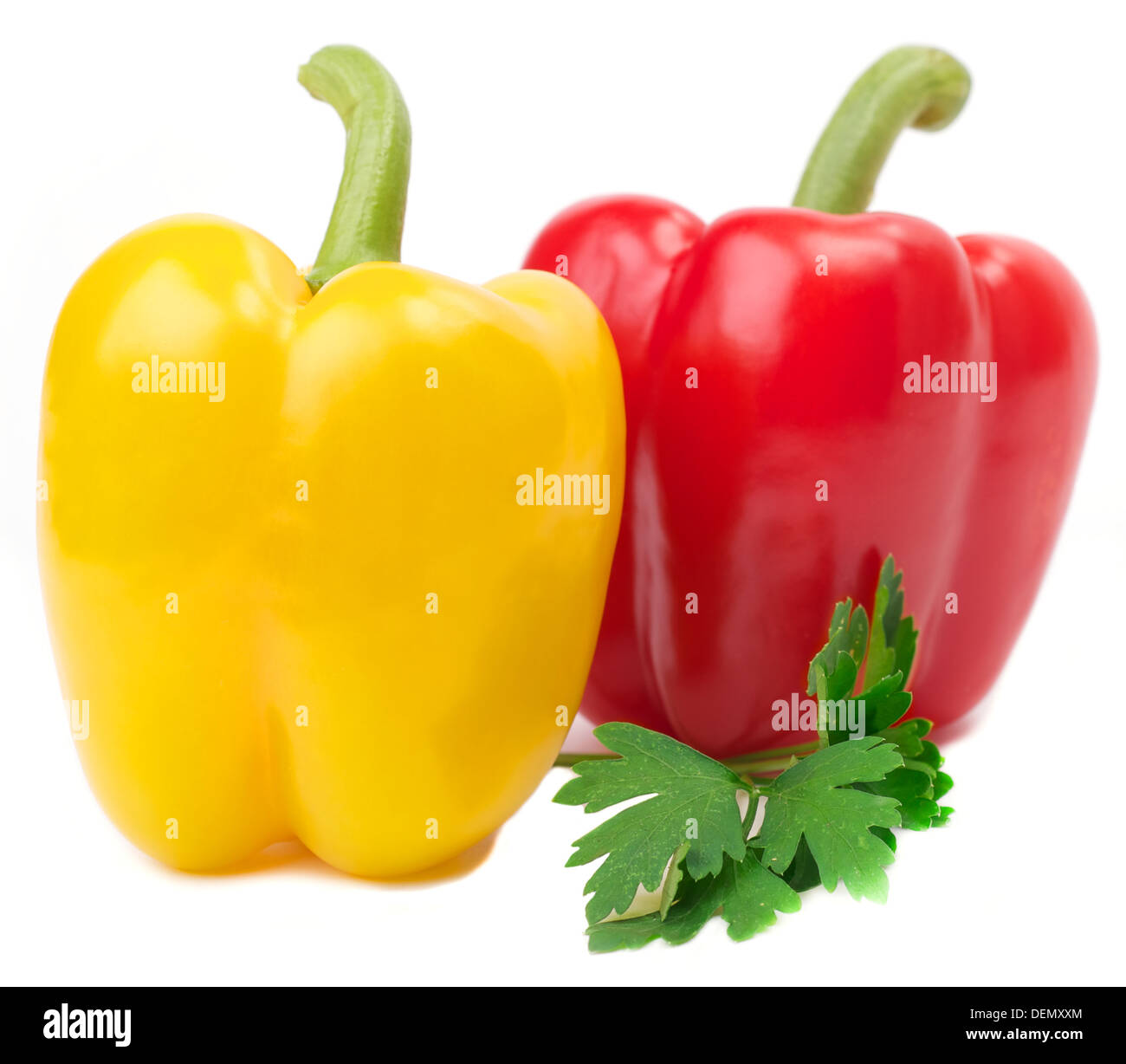 pepper on a white background Stock Photo - Alamy