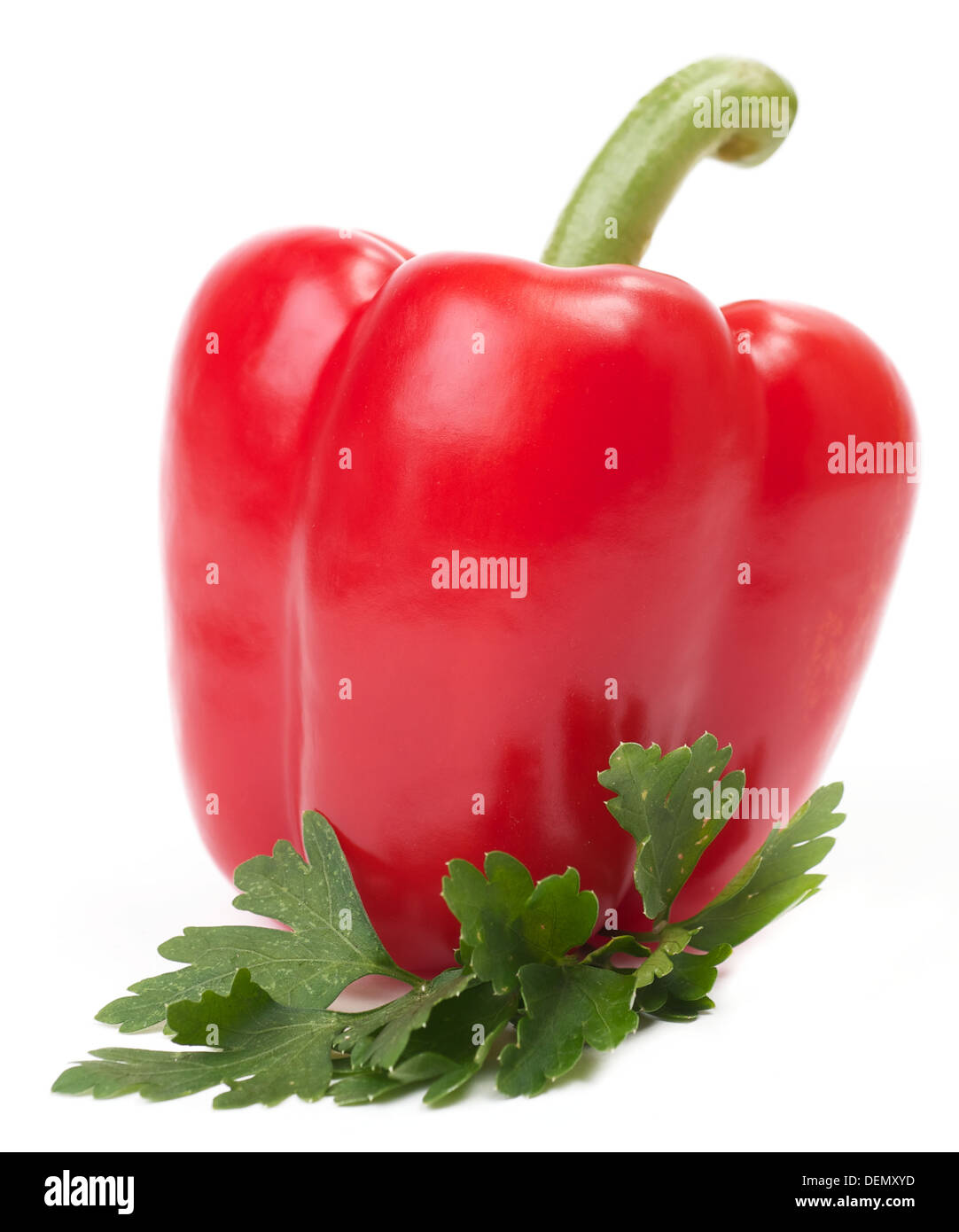 pepper on a white background Stock Photo - Alamy