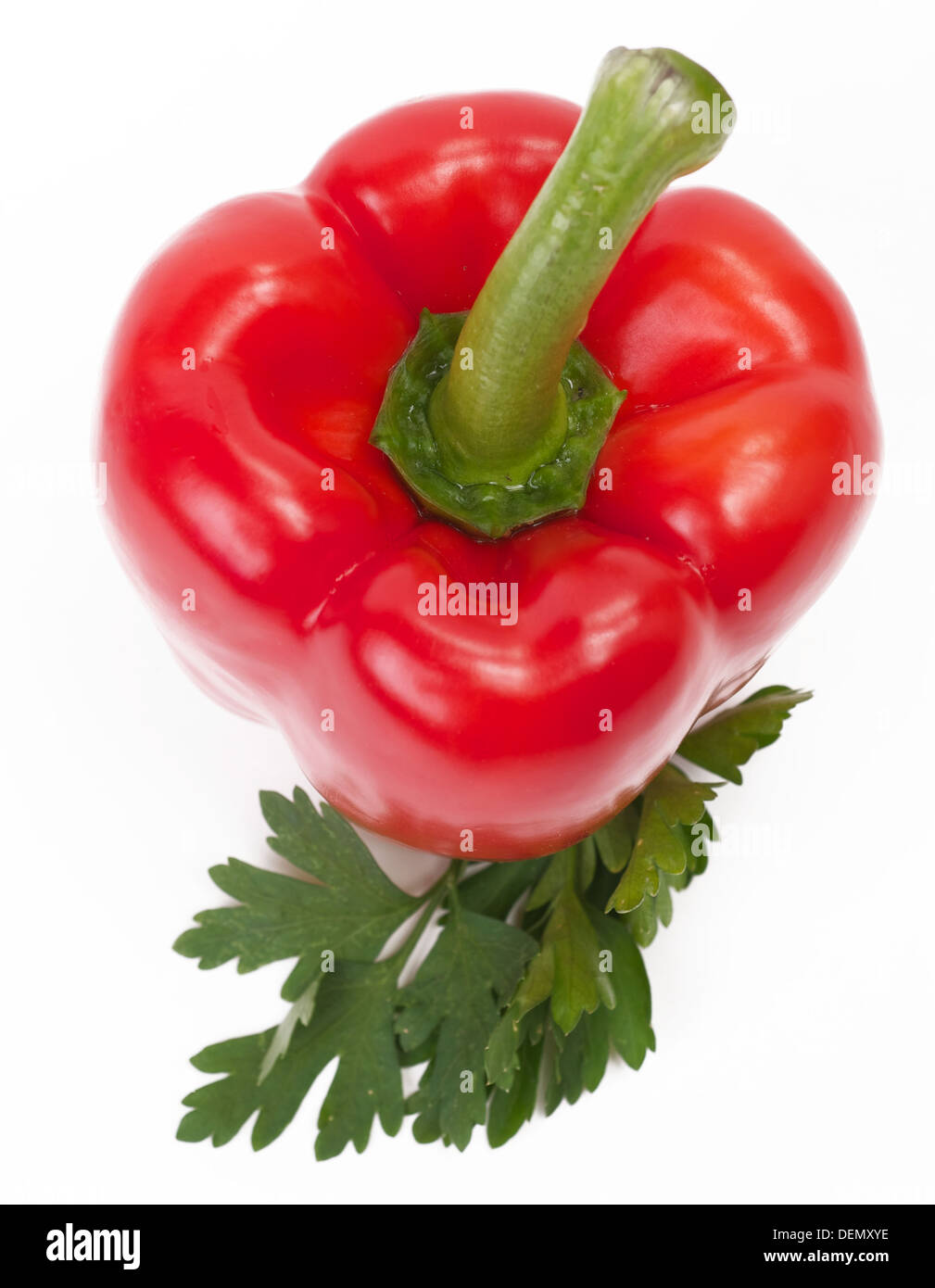 pepper on a white background Stock Photo - Alamy