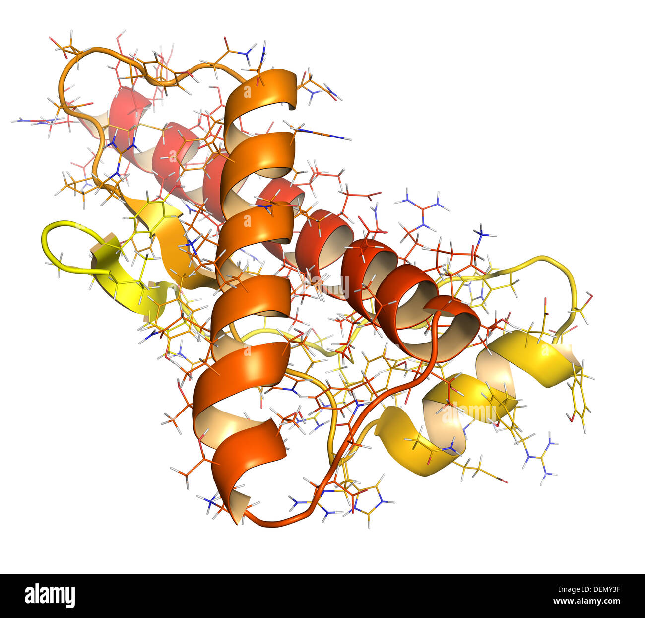 Human prion protein (hPrP), chemical structure. Associated with ... Human prion protein (hPrP), chemical structure. Associated with ...