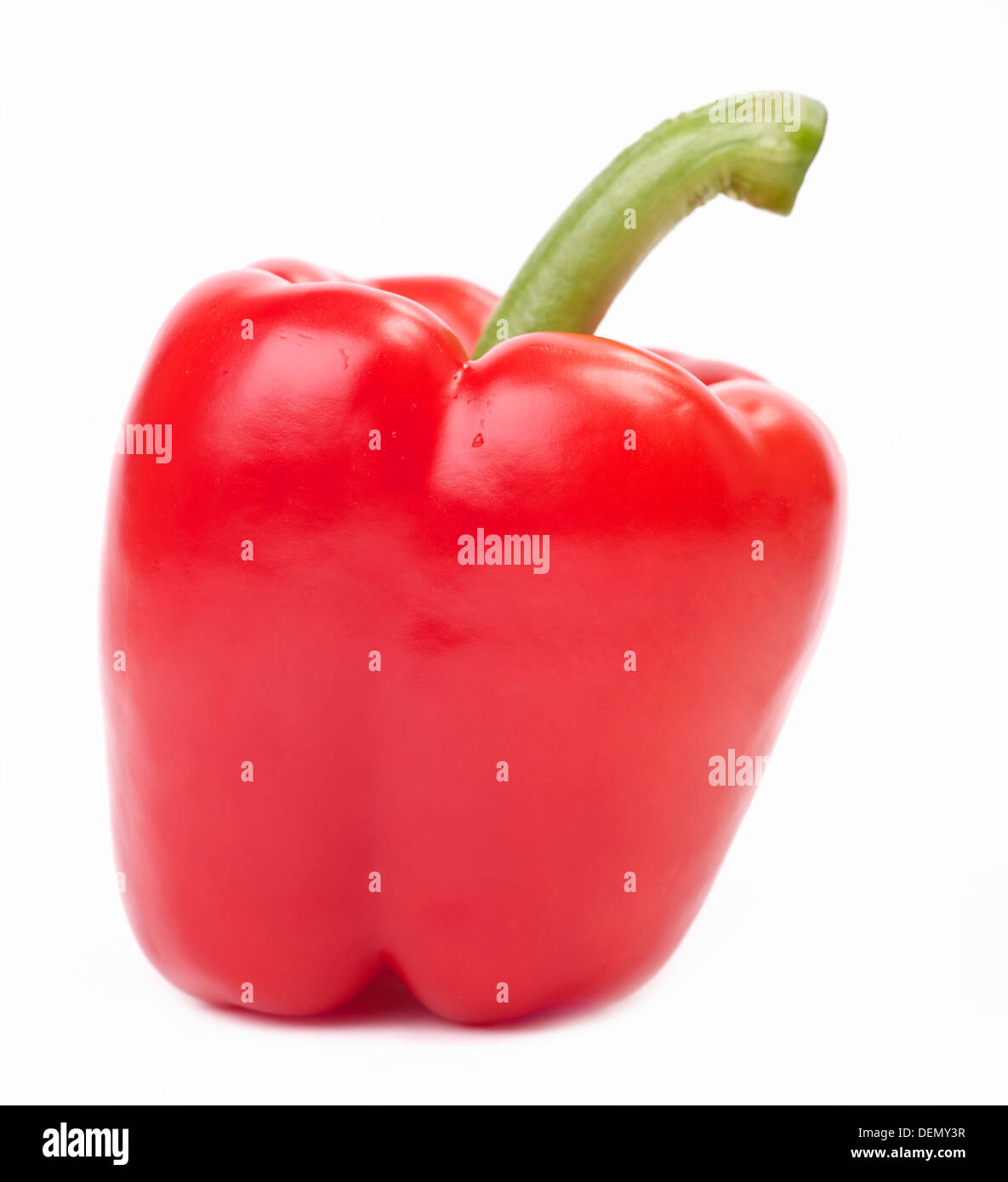 pepper on a white background Stock Photo - Alamy