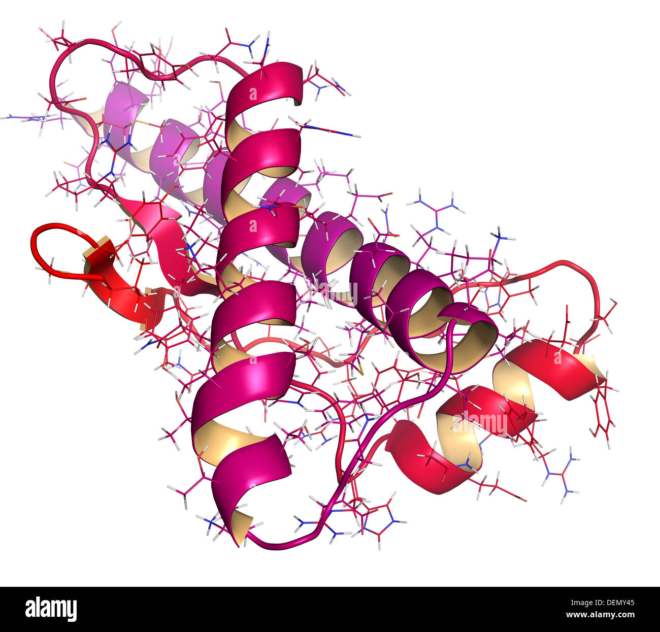 Prion diseases hi-res stock photography and images - Alamy