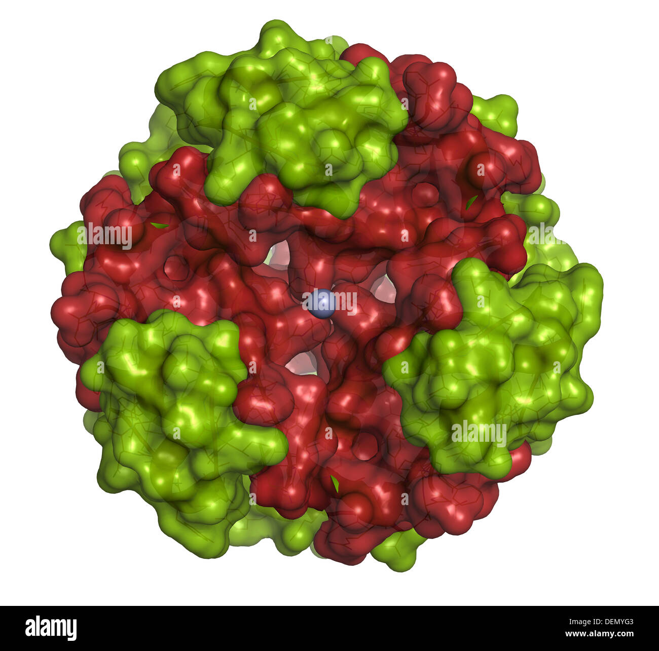 Insulin peptide hormone, chemical structure. Important drug in ...