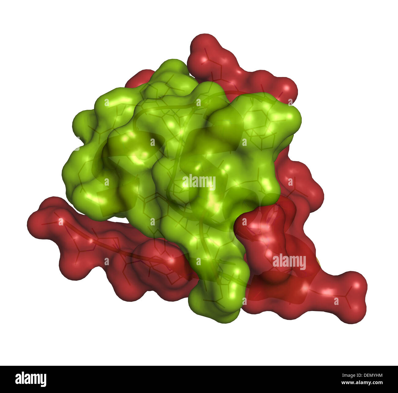Insulin peptide hormone, chemical structure. Important drug in ...
