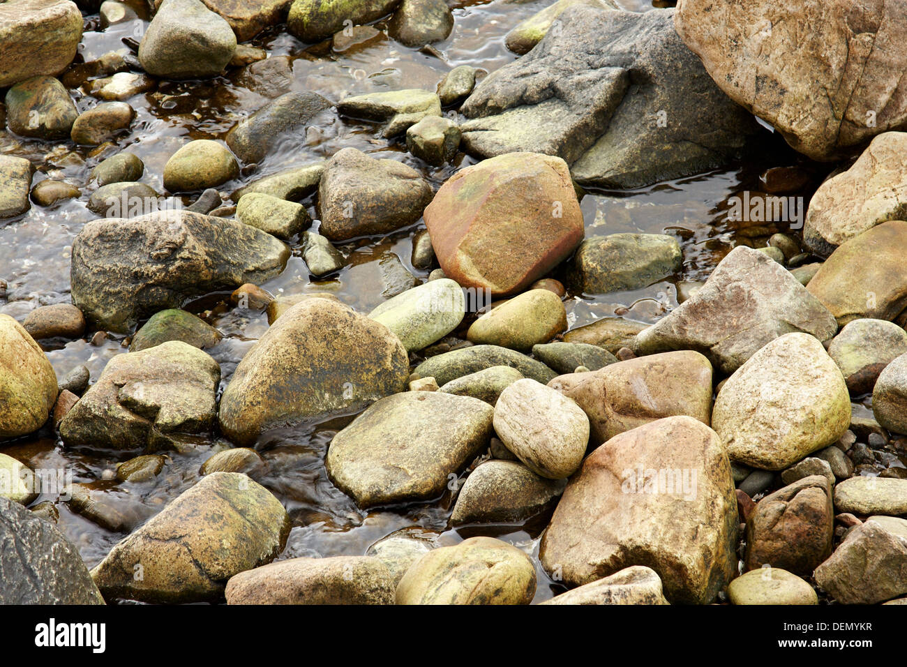 Many stones on the norwegian beach Stock Photo - Alamy
