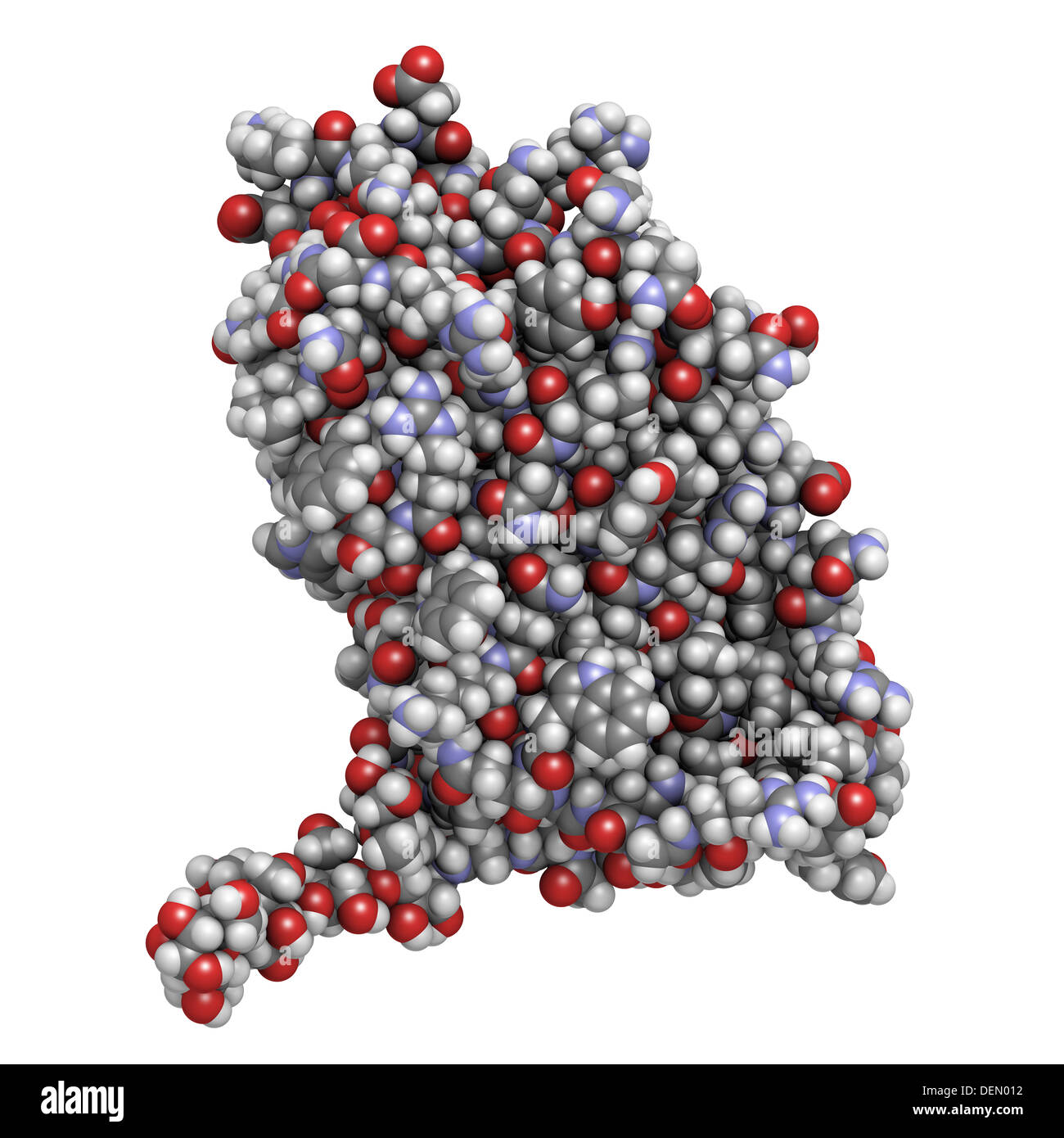Interferon beta molecule, chemical structure. Cytokine used to treat ...