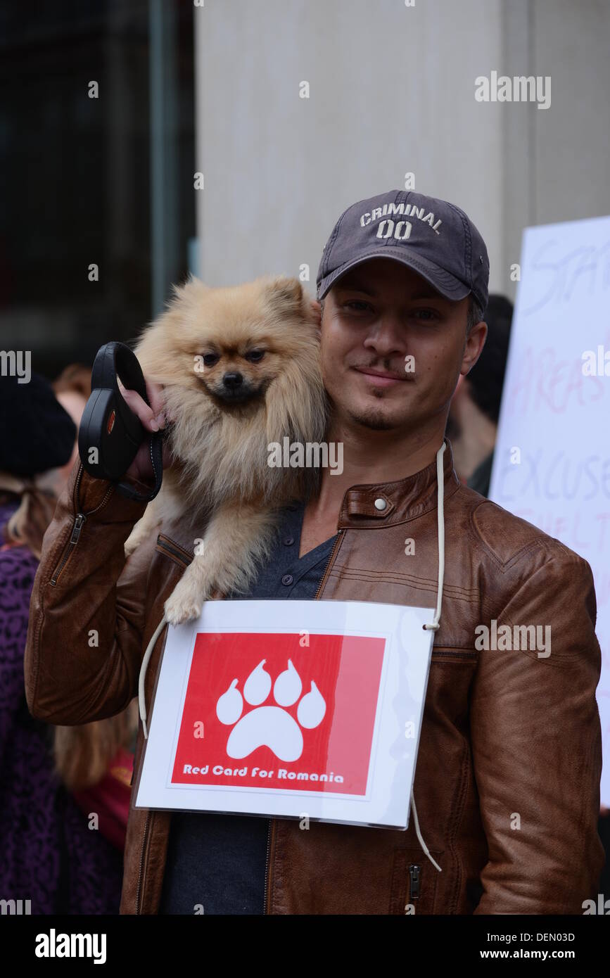 Wetnose hi-res stock photography and images - Alamy