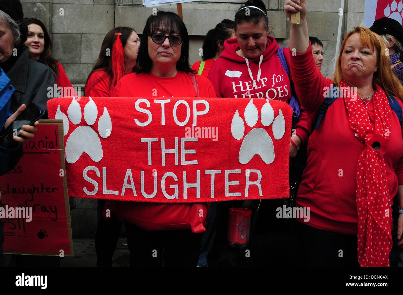 London, UK. 21st Sep, 2013. Wetnose Ambassador with Wetnose Animal Aid ...
