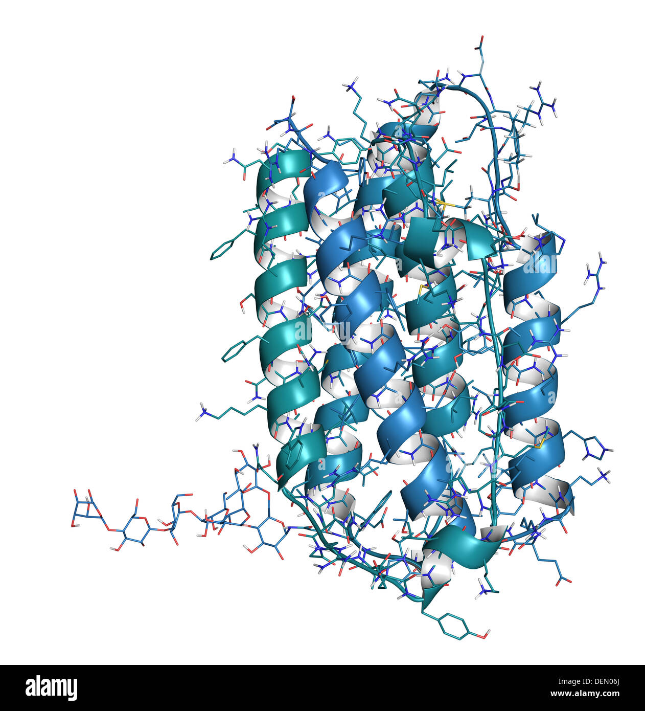 Interferon beta molecule, chemical structure. Cytokine used to treat ...