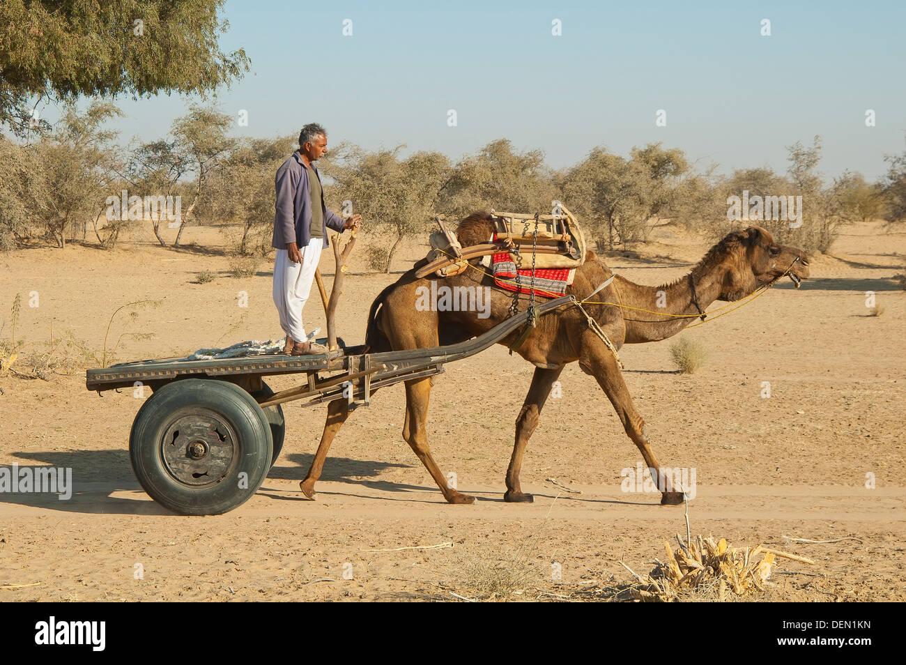 Rajastan hi-res stock photography and images - Alamy