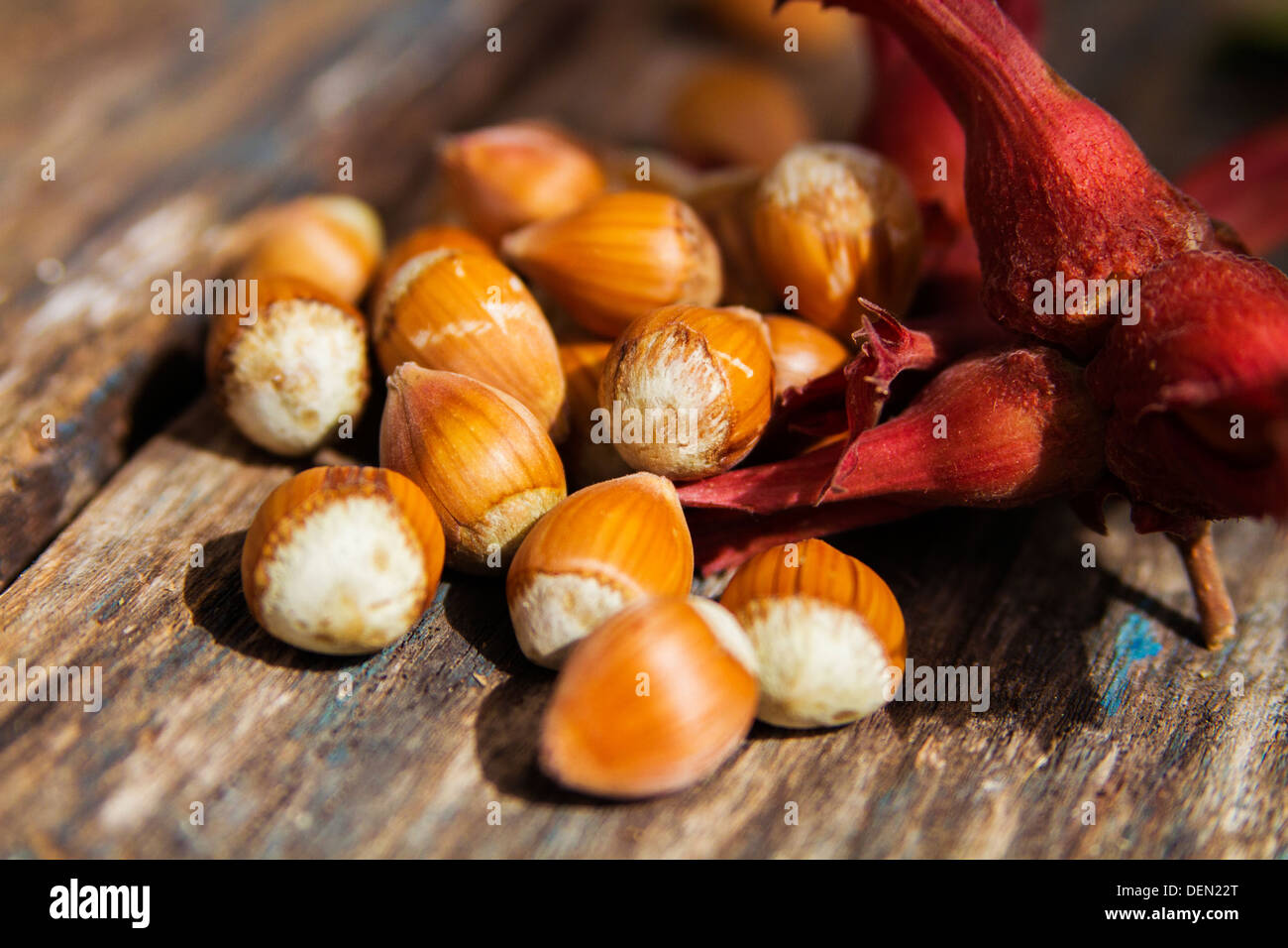 Bulk nuts hi-res stock photography and images - Alamy