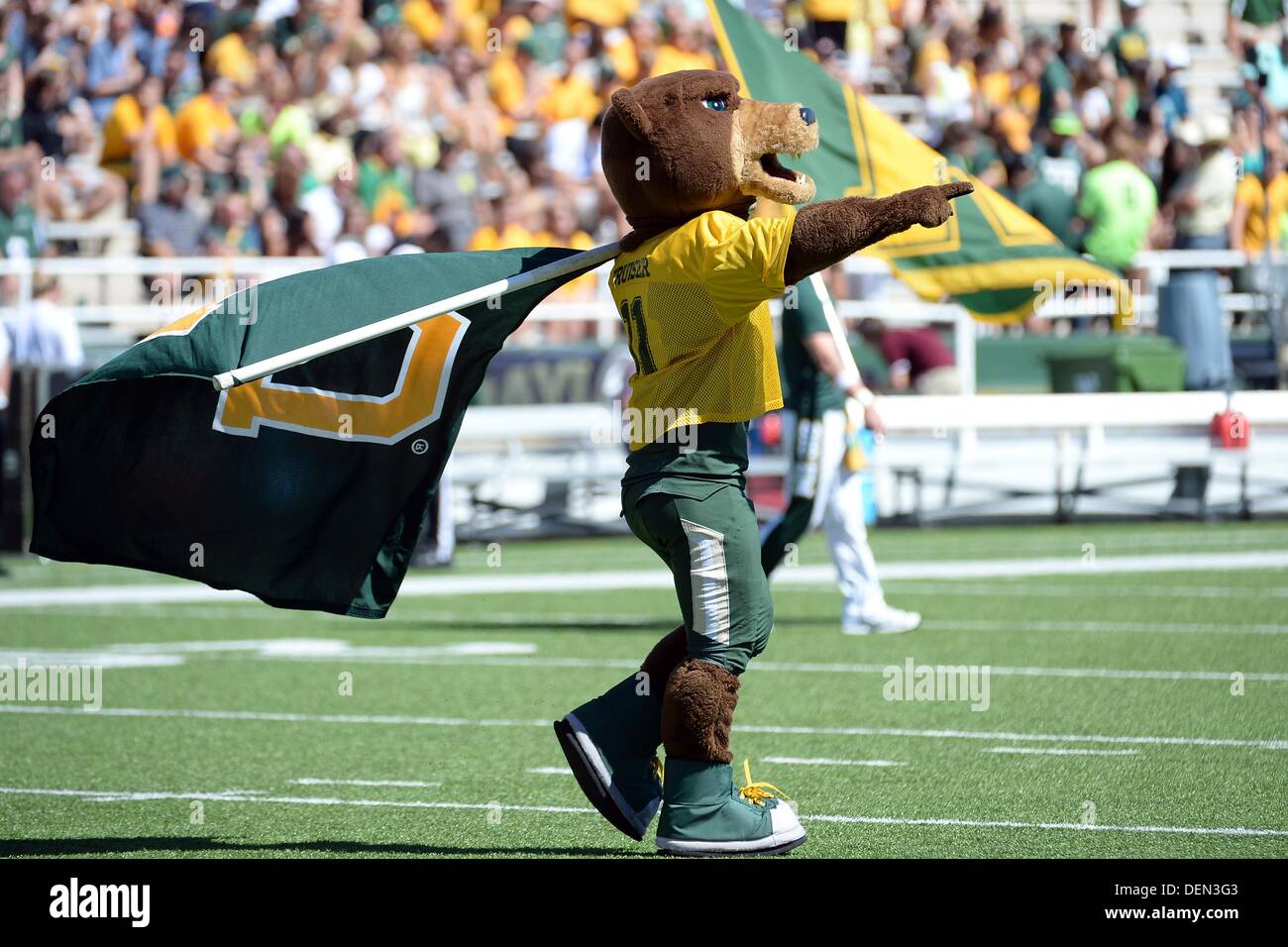 Waco, Texas. Sept 21, 2013. The mascot of the Baylor Bears in action vs ...