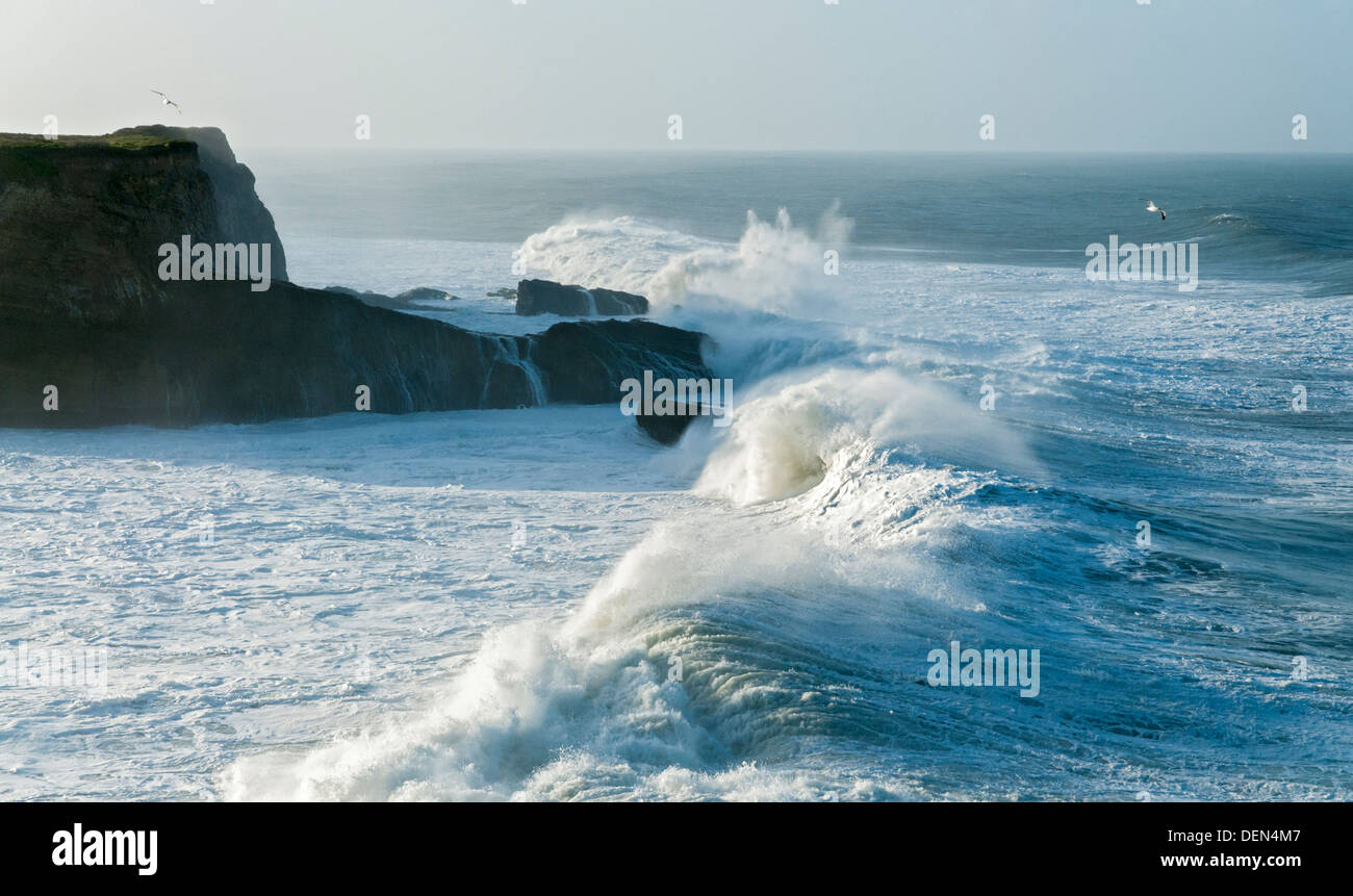 California, Santa Cruz County coast, Pacific Ocean, breaking waves ...
