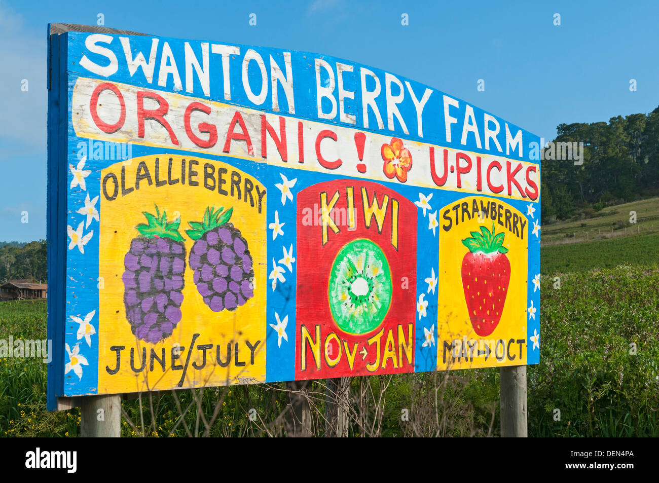 California, Santa Cruz County, Swanton Berry Farm, sign Stock Photo - Alamy