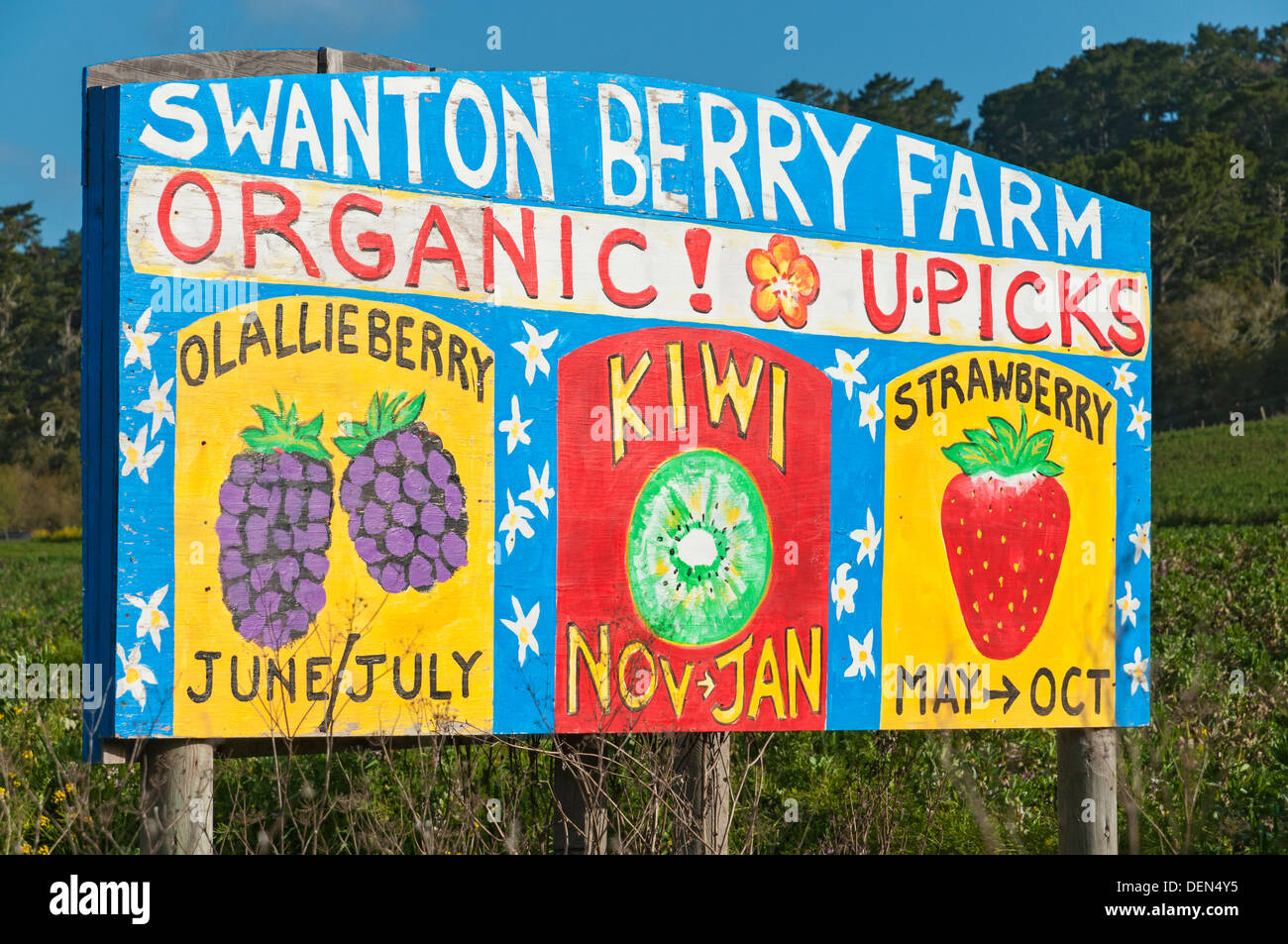 Santa Cruz County Stock Photos & Santa Cruz County Stock Images - Alamy