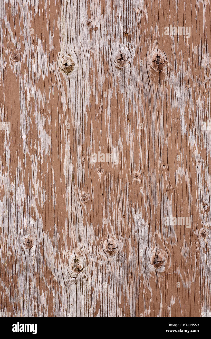 Texture - old knotted wood Stock Photo - Alamy