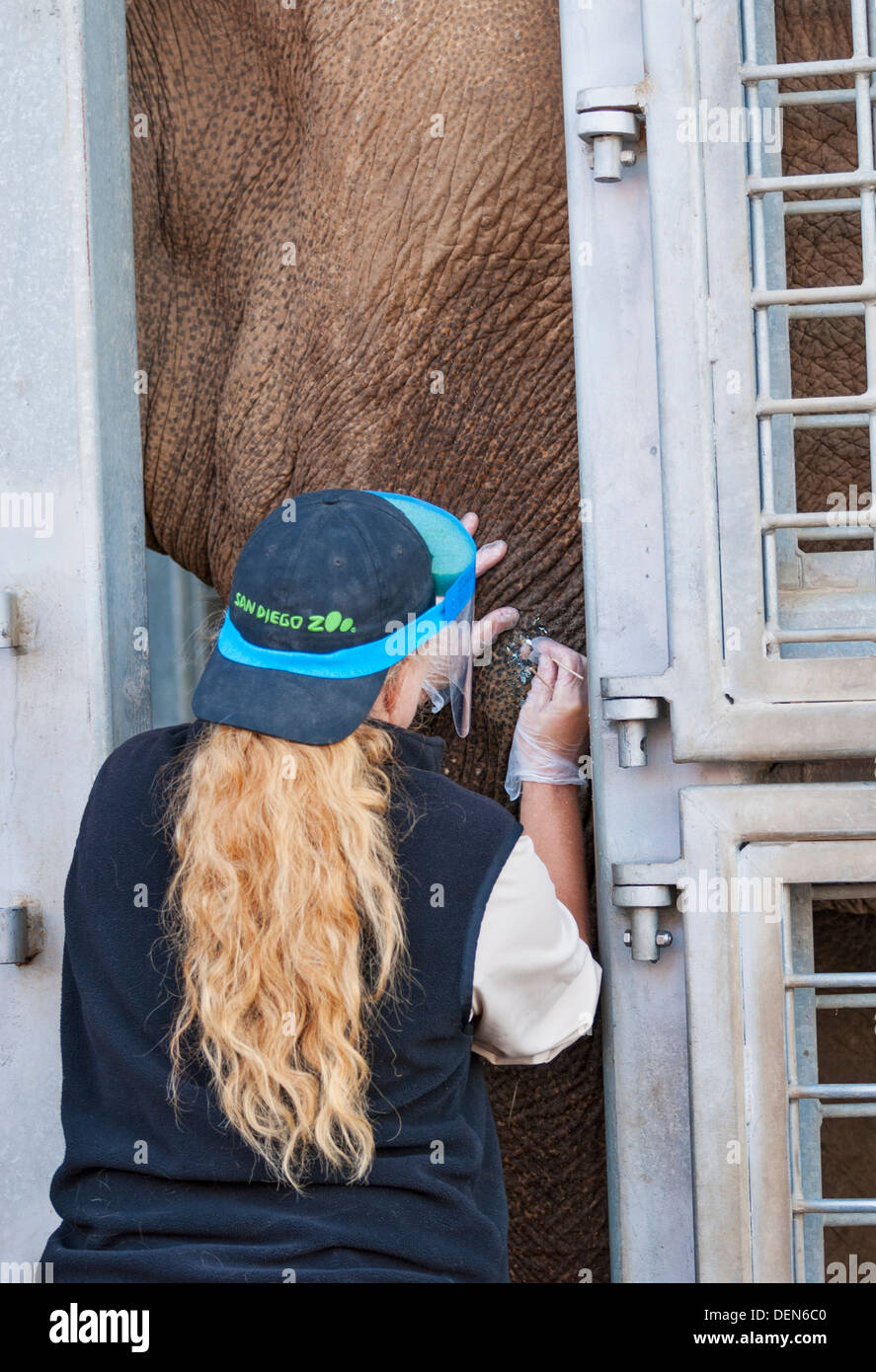 Zoo staff hi-res stock photography and images - Alamy