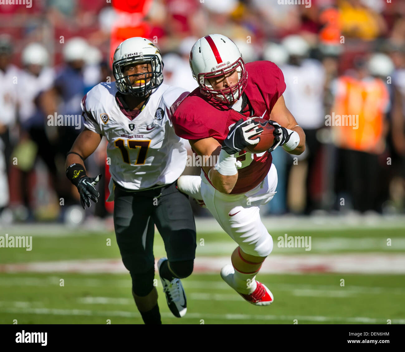 Devon cajuste hi-res stock photography and images - Alamy