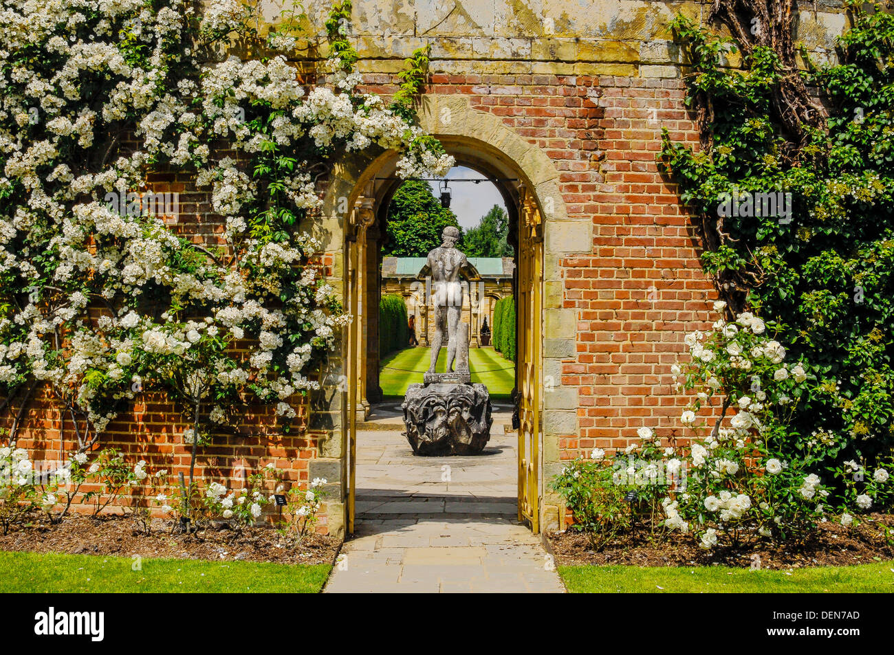 hever kent wild flowers roses red spring england uk europe daisy flora ...
