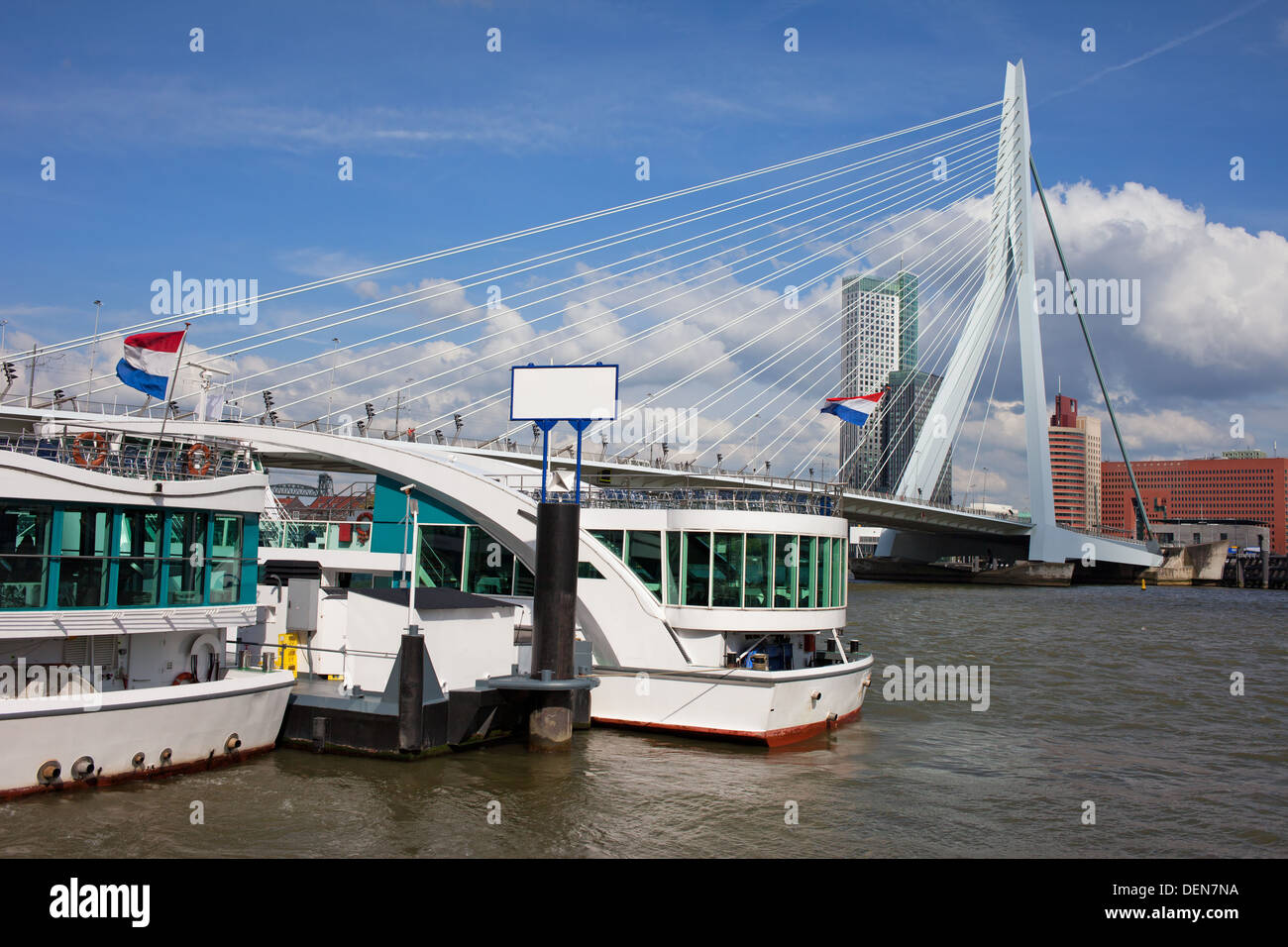 Erasmus Bridge on the Nieuwe Maas river in the city centre of Rotterdam ...