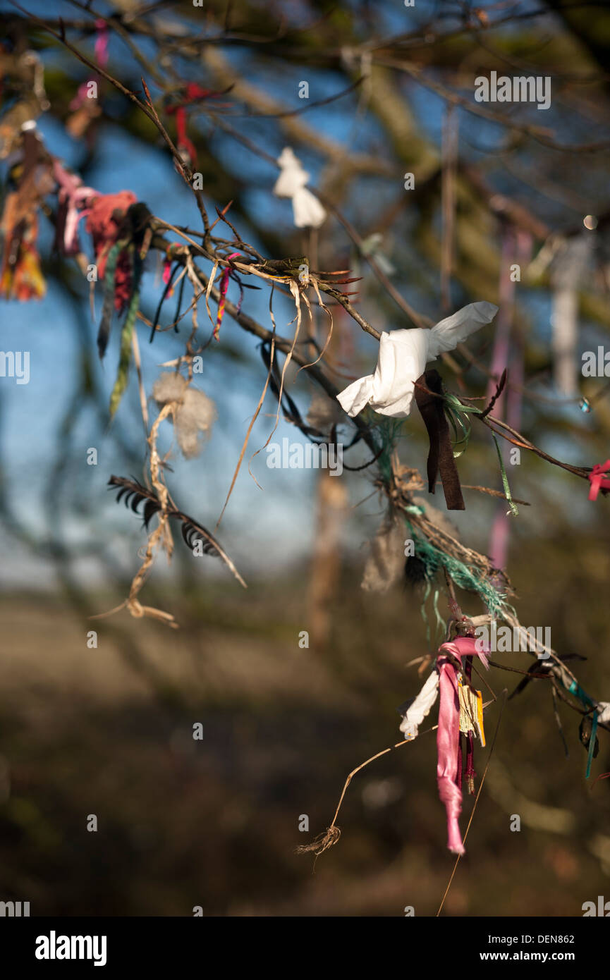 Memorial ribbons tied to tree branches at the Unesco World Heritage ...