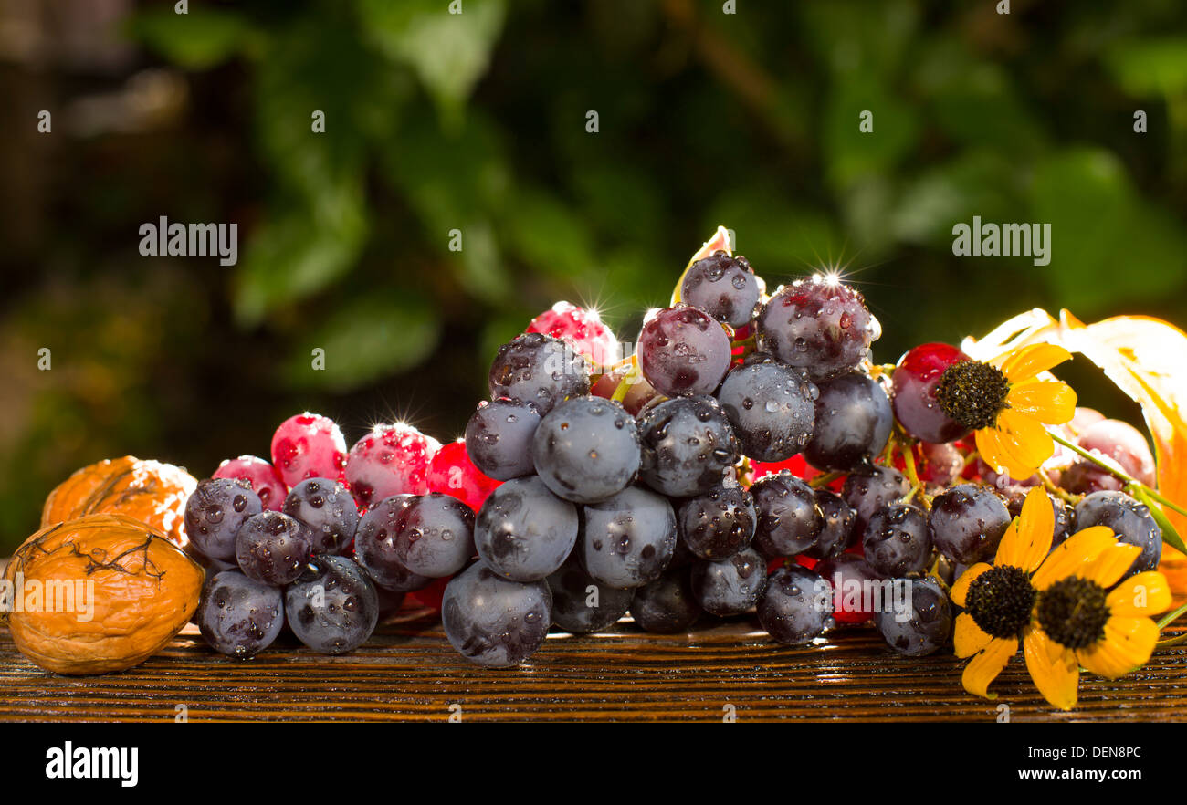 Rose Hamburg Muscat Stock Photo - Alamy