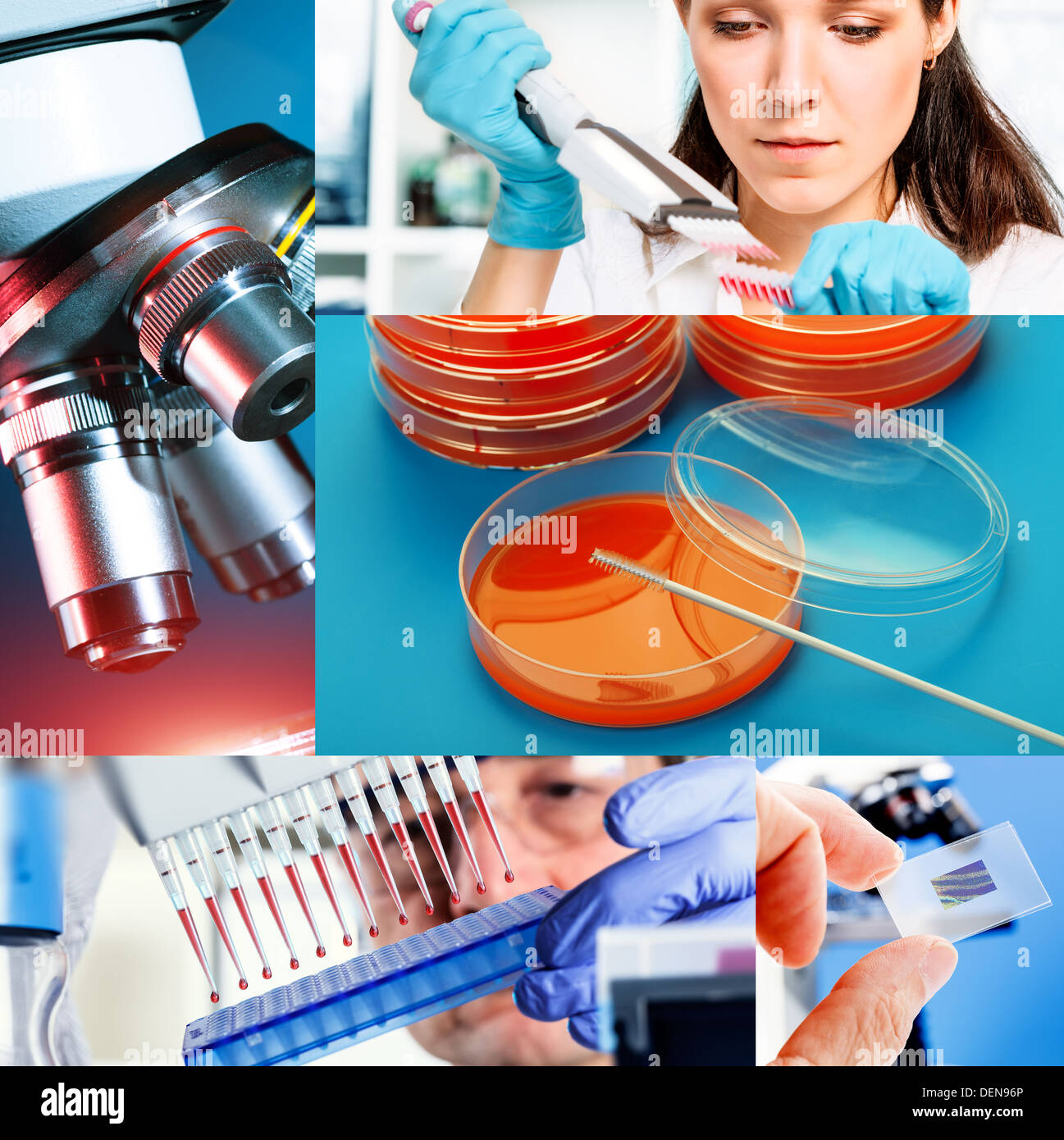 Collage of collection of medical and chemical research Stock Photo - Alamy