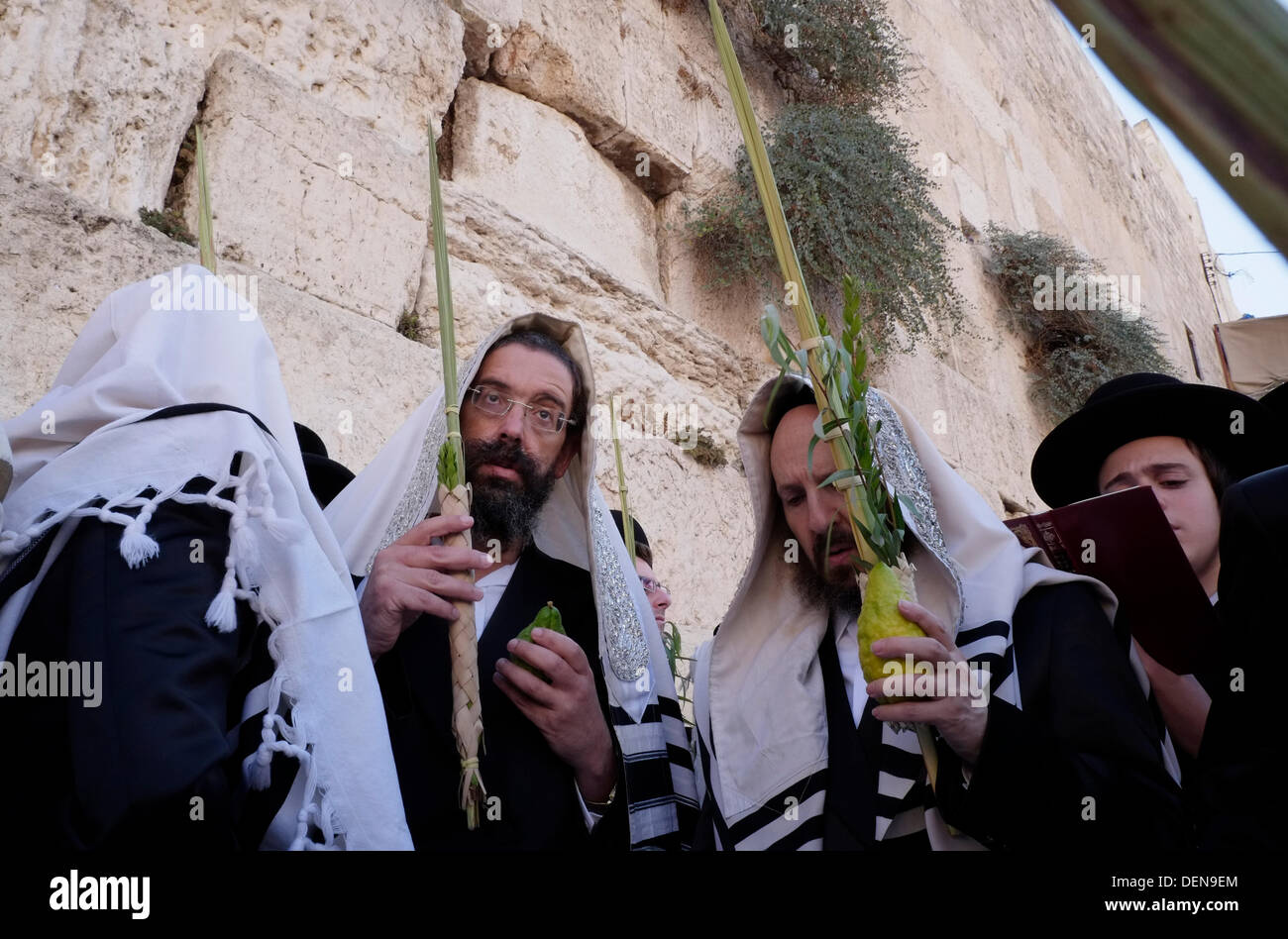 Orthodox Jews holding ceremonial palm fronds and willows on the Sukkot ...