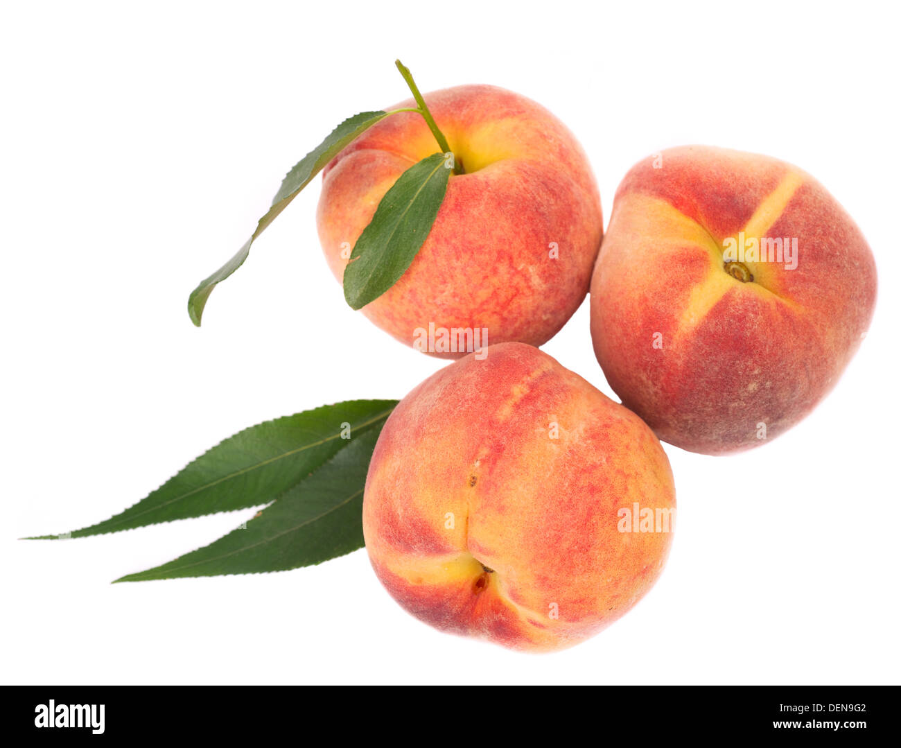 Fresh peaches on white background Stock Photo - Alamy