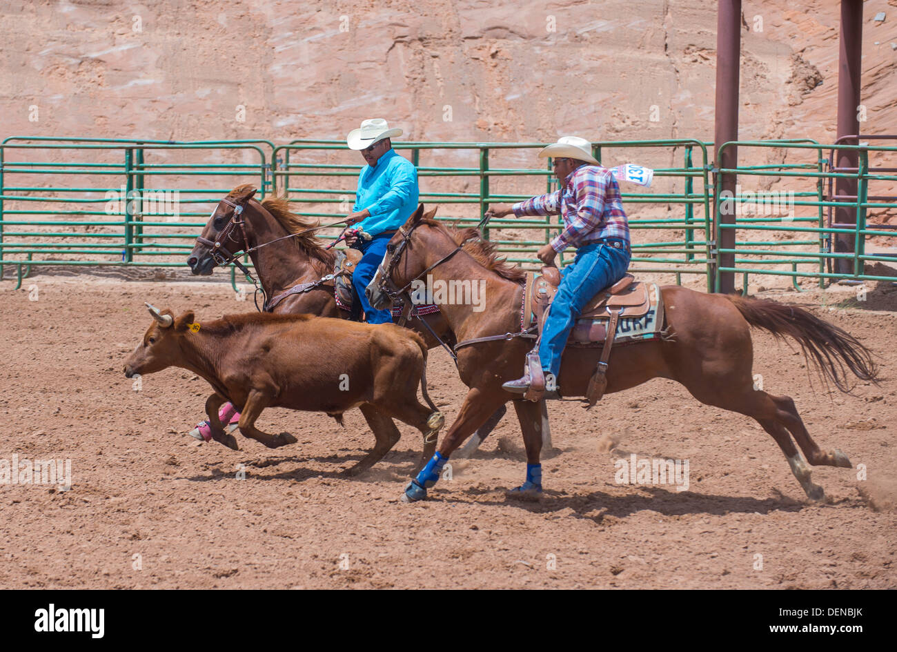 Cowboy riding horse rope gallup hi-res stock photography and images - Alamy
