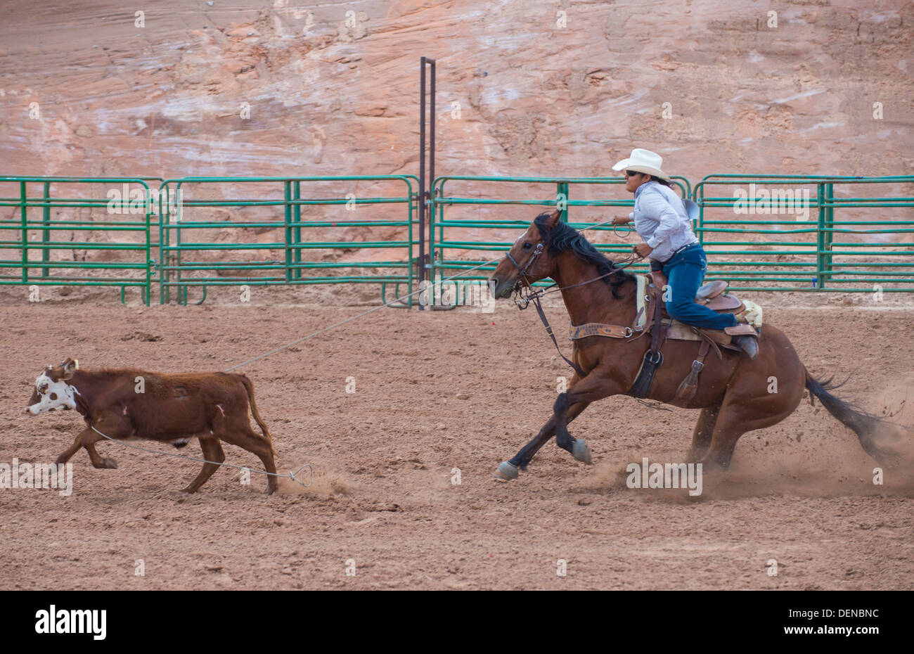 Cowgirl roping hi-res stock photography and images - Alamy