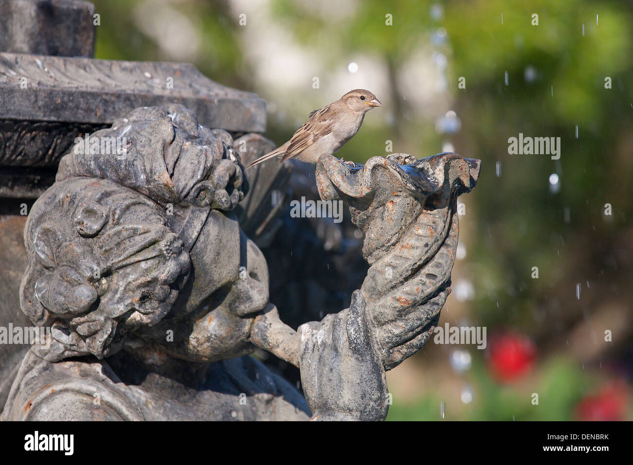 Albert finch hi-res stock photography and images - Alamy