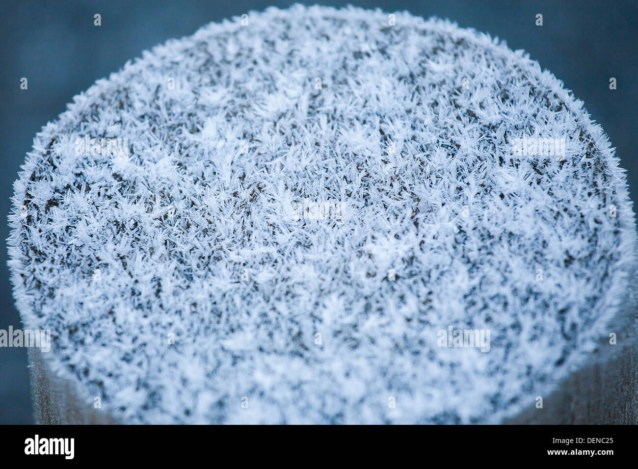 heavy frost ice , winter in New Zealand south island mountains Stock ...