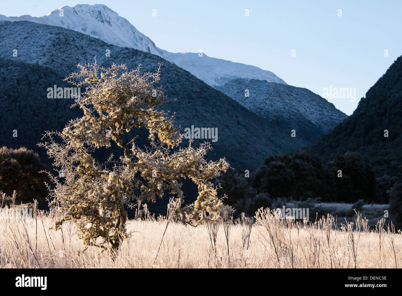Glinting snow hi-res stock photography and images - Alamy