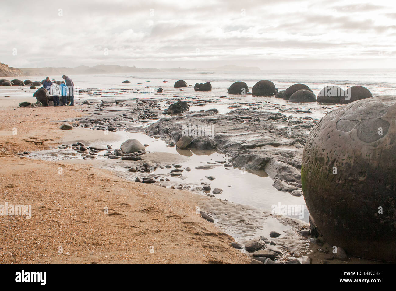 New Zealand moeraki boulders with tourist looking at them on beach ...