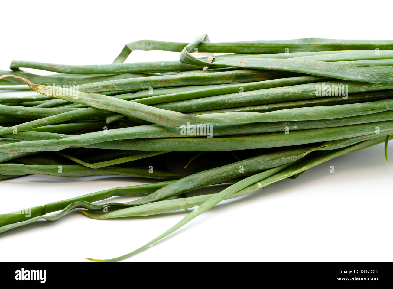 Fresh Green Allium Fistulosum on white background Stock Photo - Alamy
