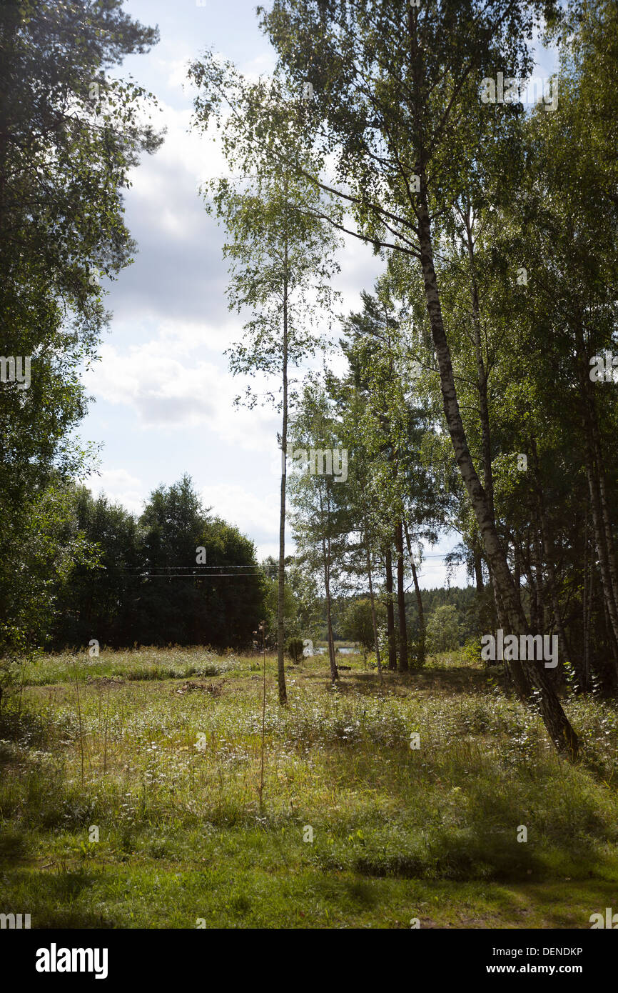 Sky clearing hi-res stock photography and images - Alamy