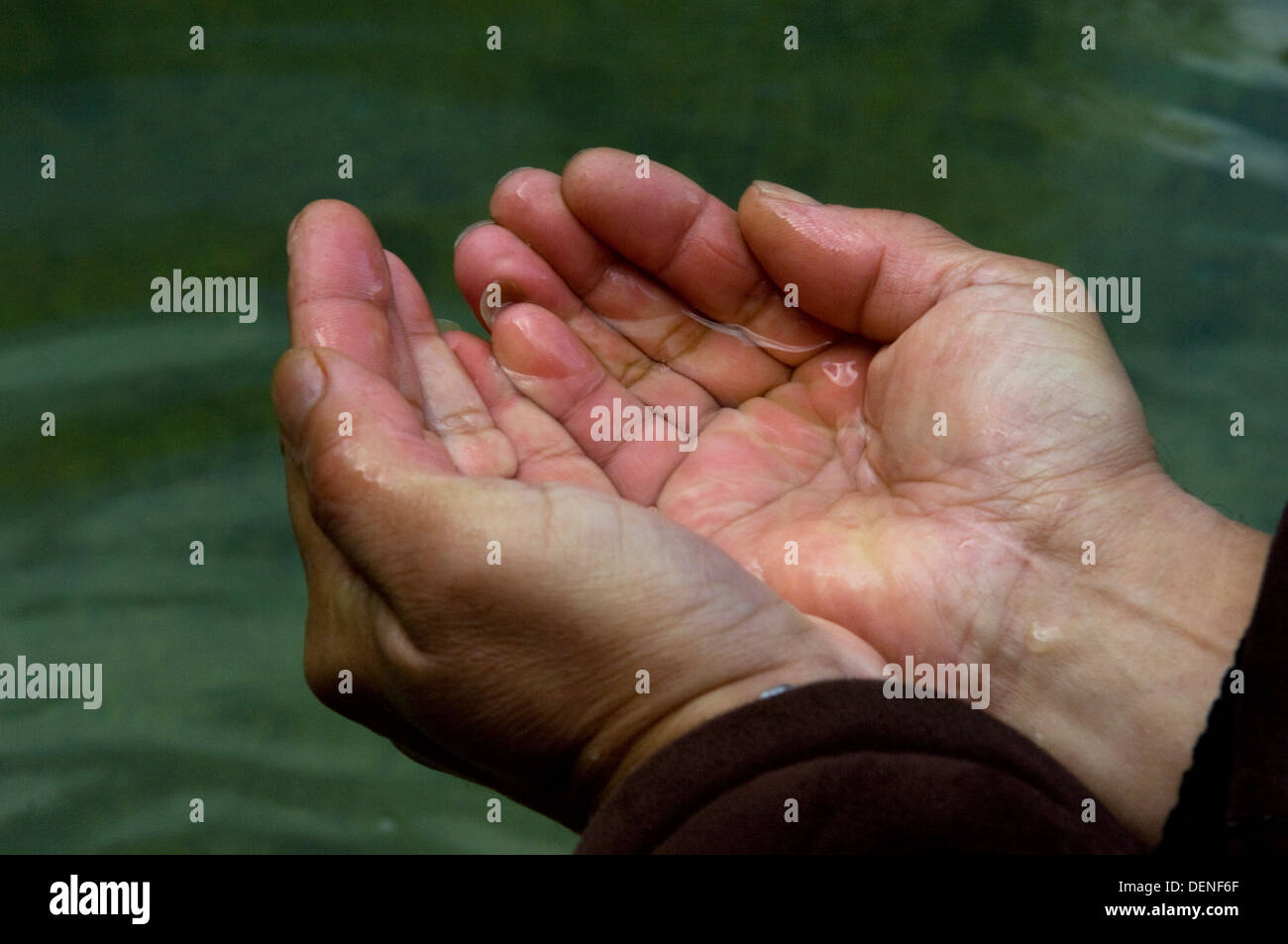 St.Winefride's Well,a holy site where a spring brings water from the ...